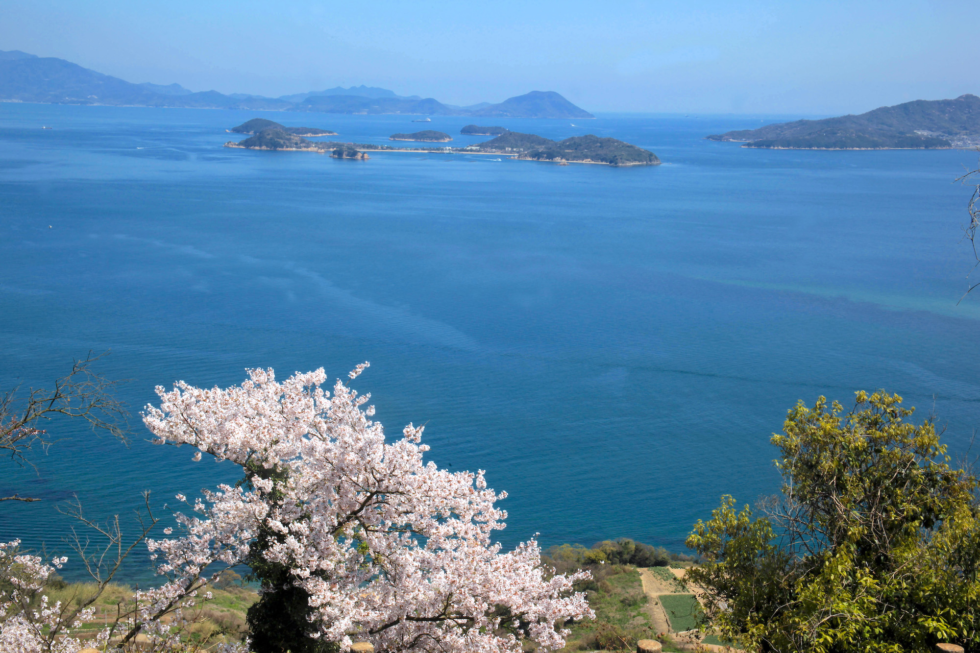 Kagawa: เที่ยวเจาะลึกจังหวัดคางาวะ ตอน 3 – Megijima & Ogijima | เที่ยว ...
