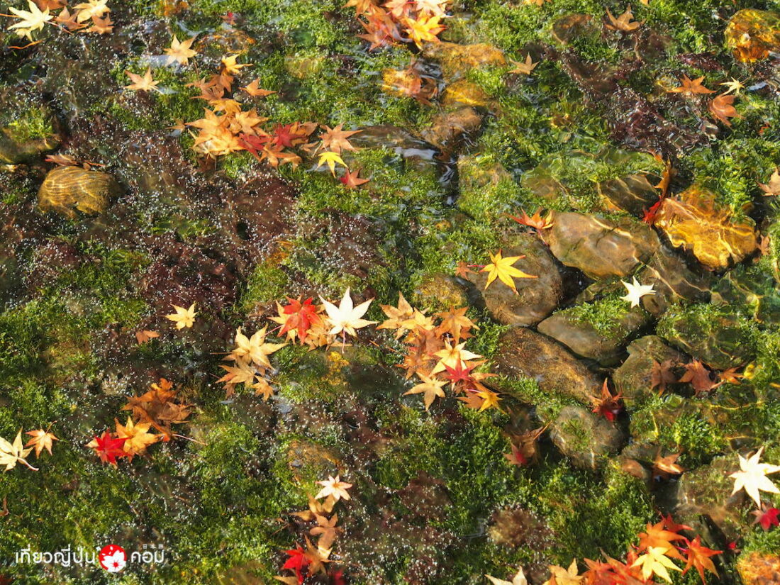 Okayama: 10 สถานที่เที่ยวแนะนำ เมื่อมาเที่ยวที่โอคะยะมะ | เที่ยวญี่ปุ่น ...