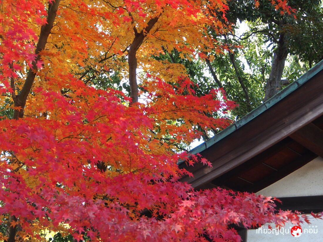 Okayama: 10 สถานที่เที่ยวแนะนำ เมื่อมาเที่ยวที่โอคะยะมะ | เที่ยวญี่ปุ่น ...